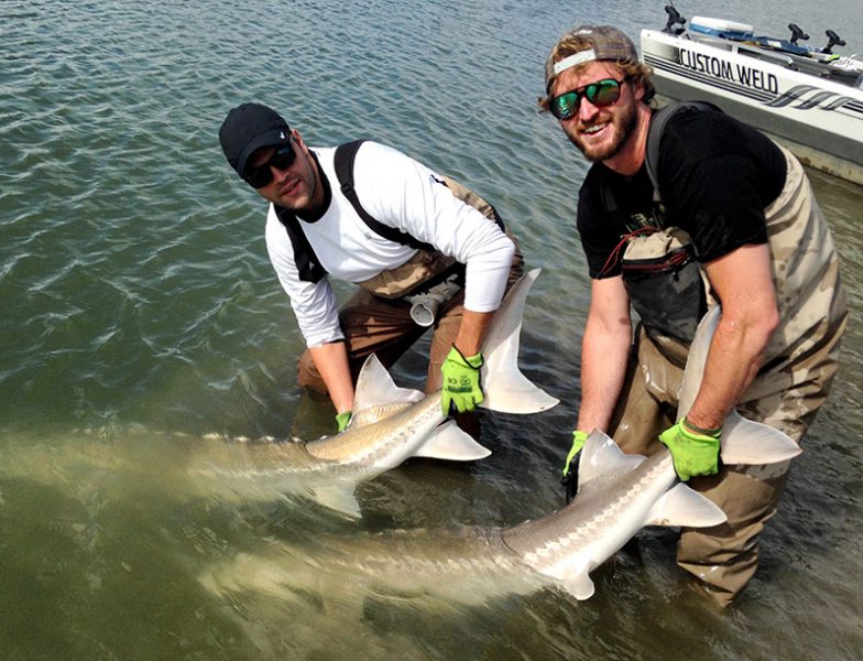 Sturgeon Fishing Guides Fraser River BC & Holiday Packages 🇨🇦