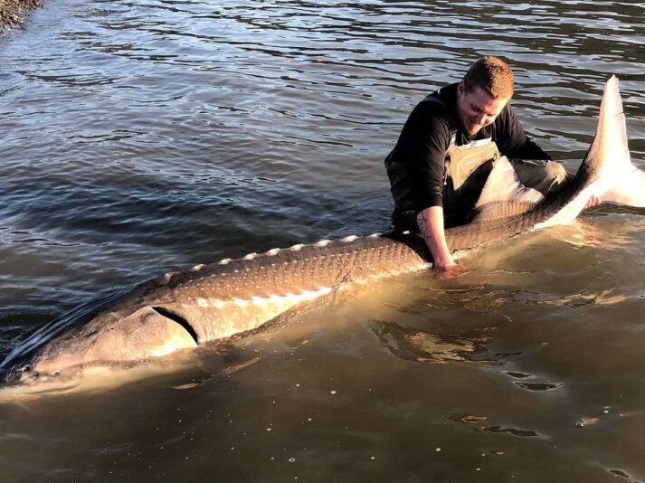 Fraser River Guided Fishing Charters - Silversides Fishing Adventures